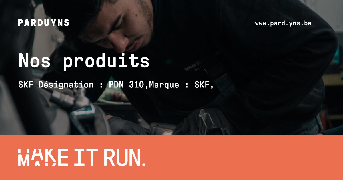 PDN 310 | Palier double pdn SKF